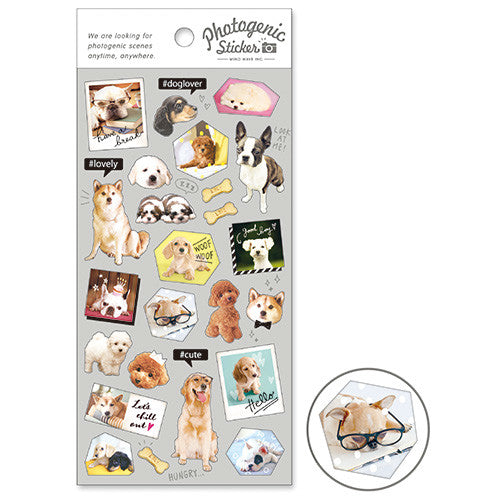 Mind Wave : Photogenic Doggo Stickers! | Daisuki